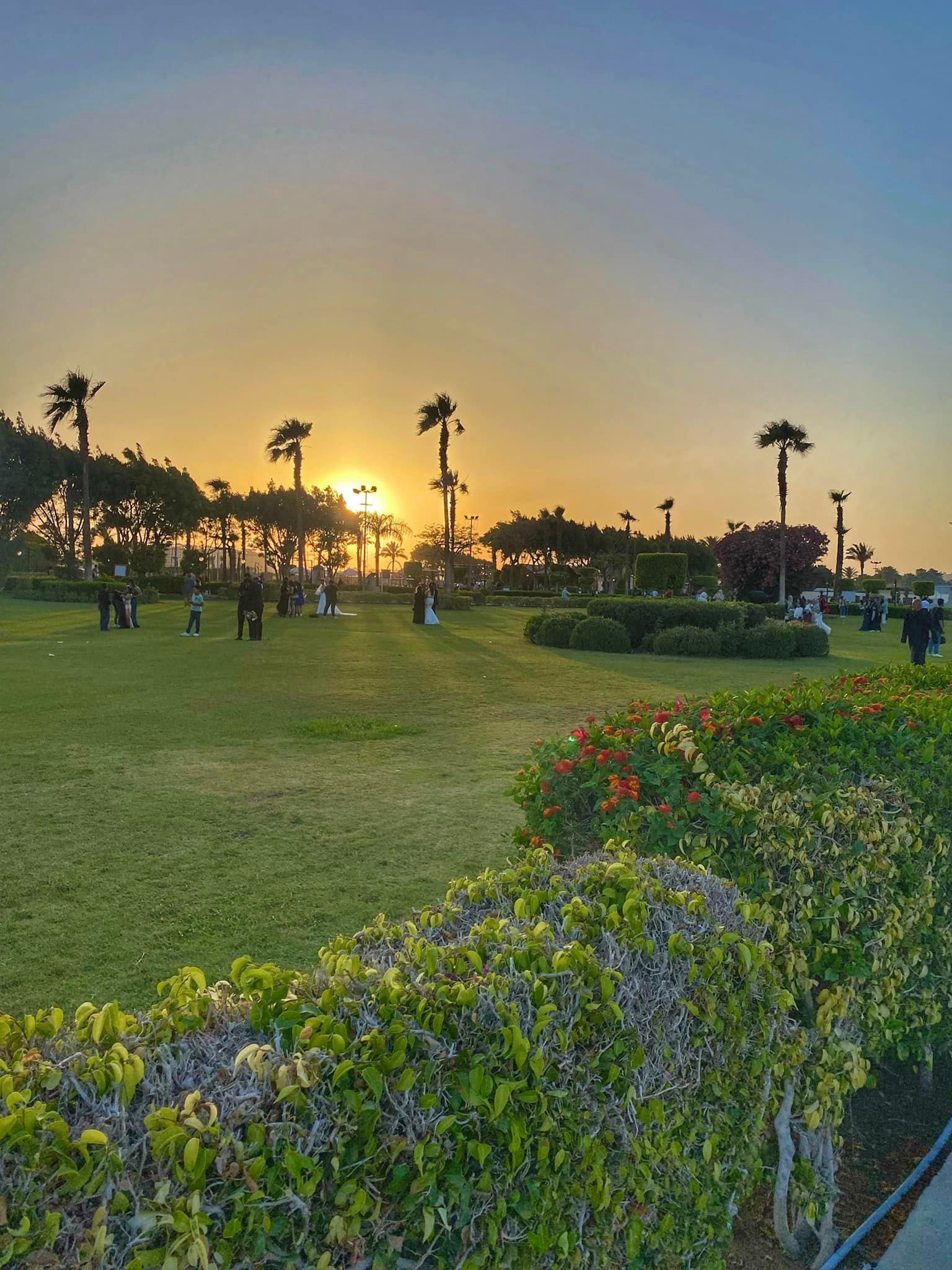 Maadi Island - Egypt Antiques