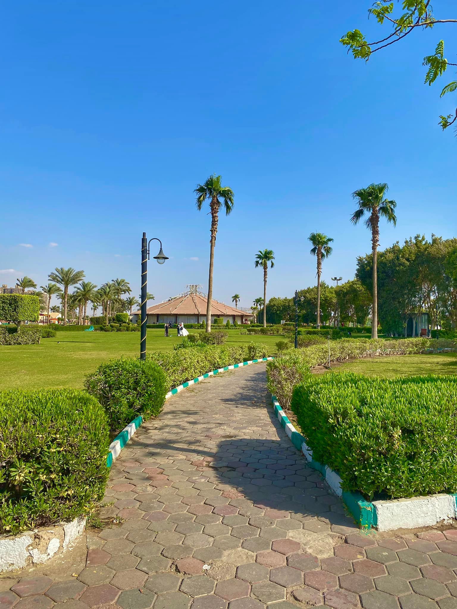 Maadi Island - Egypt Antiques